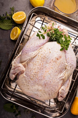 How to Cook a Perfect Thanksgiving Turkey - Easy Recipe!