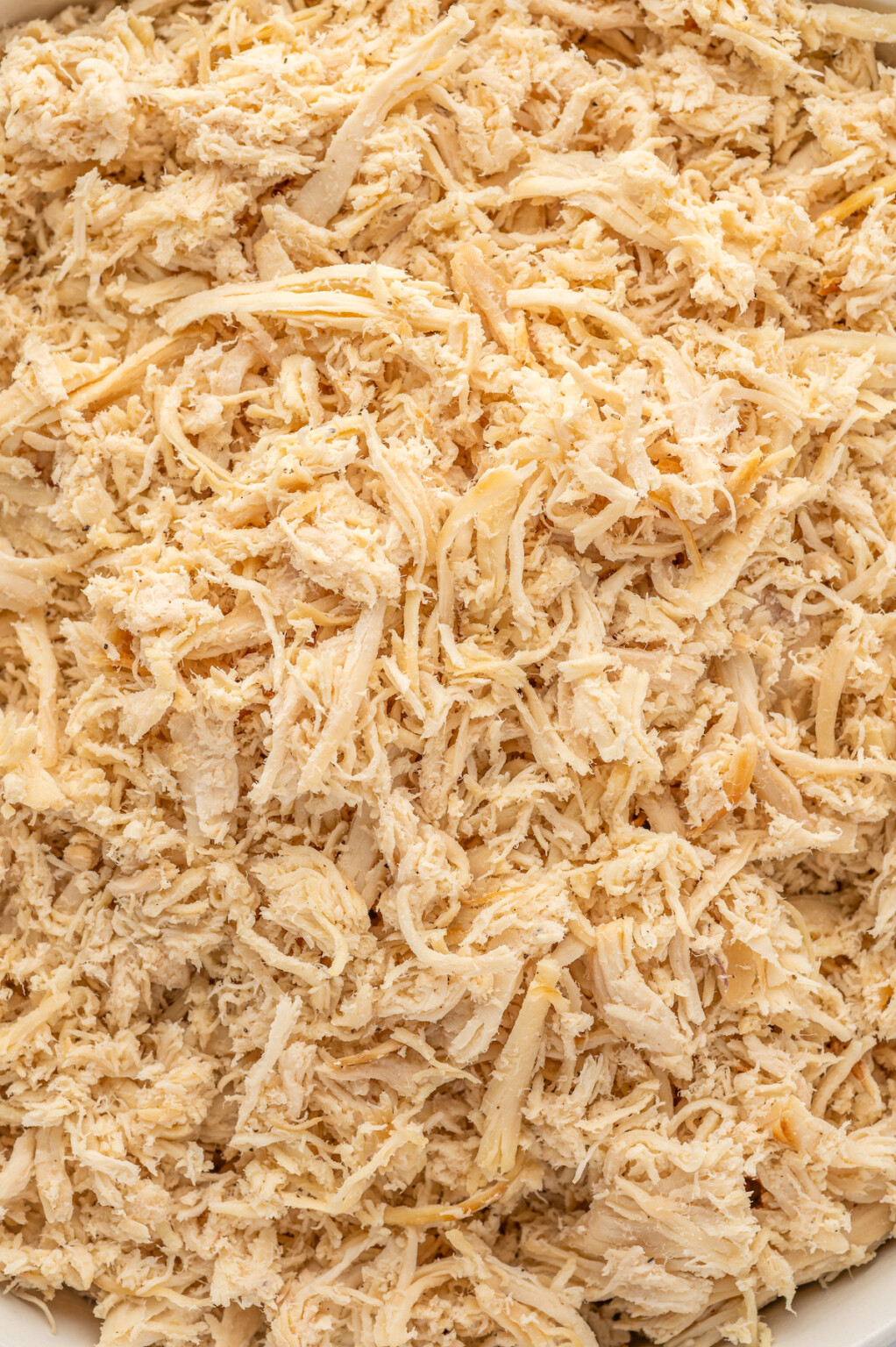 Best Shredded Chicken Recipe | The Novice Chef