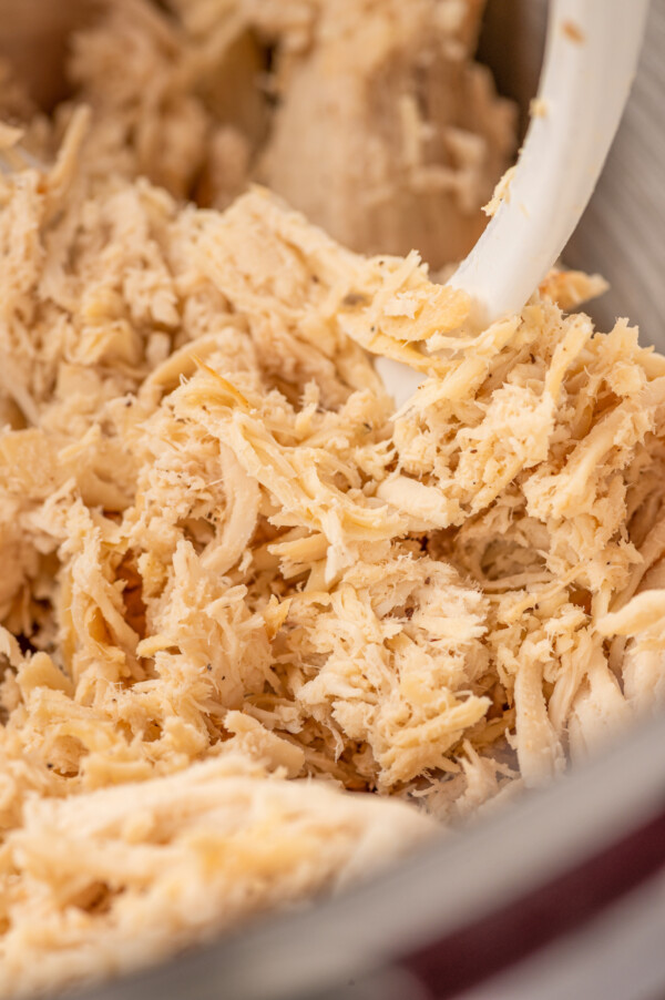 Best Shredded Chicken Recipe | The Novice Chef