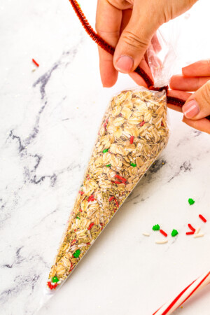 Reindeer Food | The Novice Chef