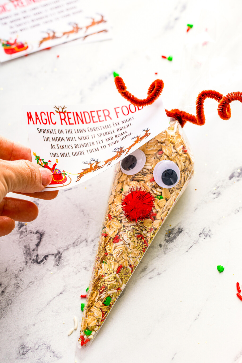 Reindeer Food | The Novice Chef