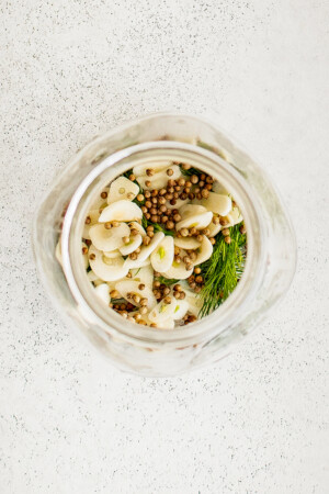 Garlic Dill Refrigerator Pickles Recipe | The Novice Chef