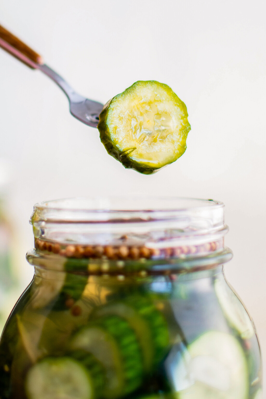 Garlic Dill Refrigerator Pickles Recipe | The Novice Chef