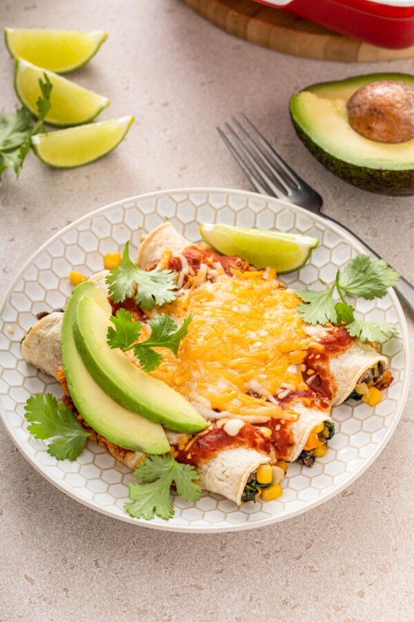 Easy Vegetarian Enchiladas | The Novice Chef