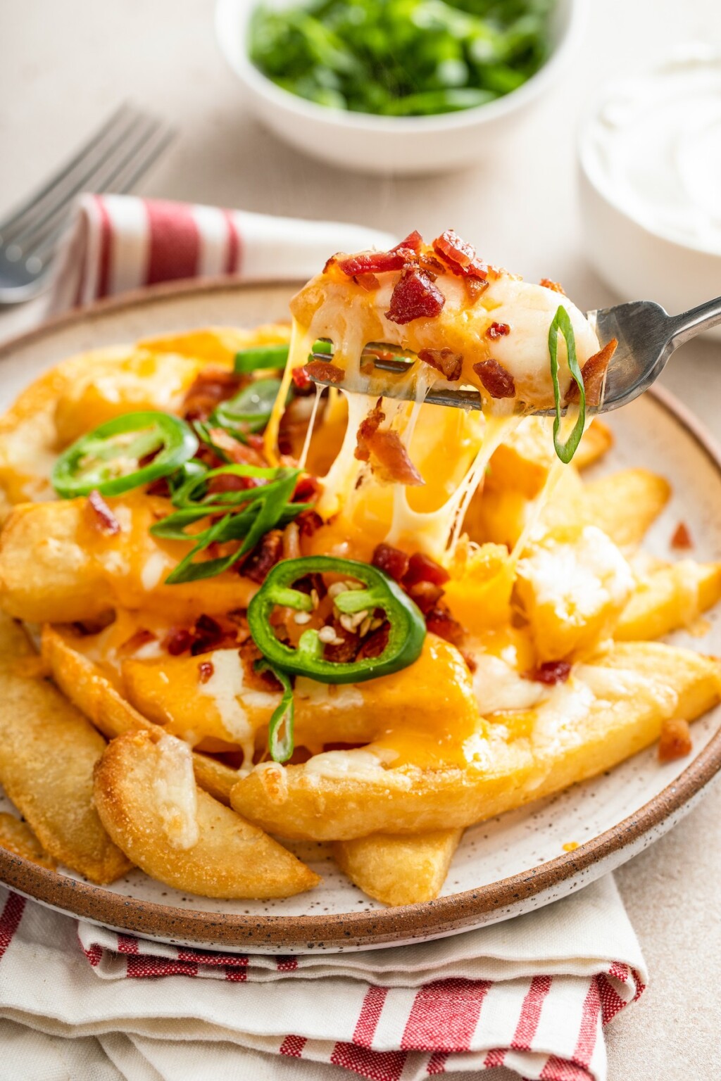 Texas Cheese Fries | The Novice Chef