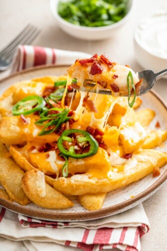 Texas Cheese Fries | The Novice Chef