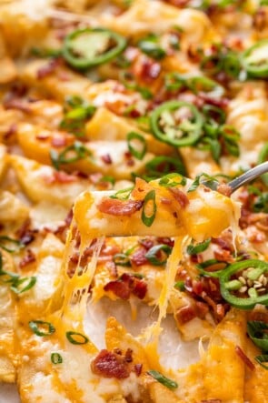 Texas Cheese Fries | The Novice Chef