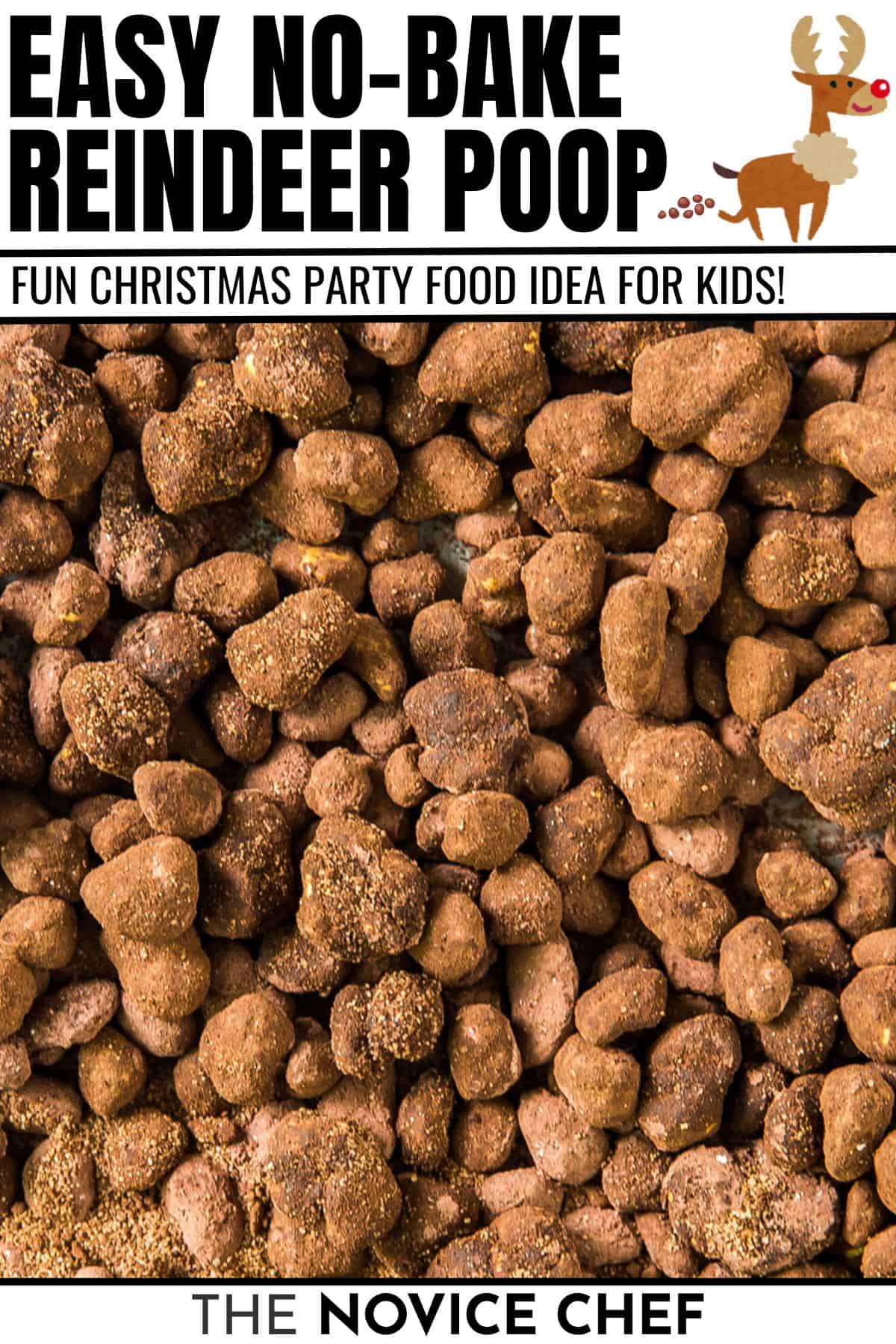 Easy No-Bake Reindeer Poop Recipe | The Novice Chef