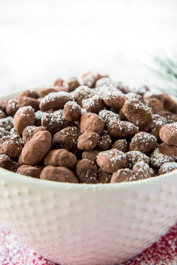 Easy No-Bake Reindeer Poop Recipe | The Novice Chef