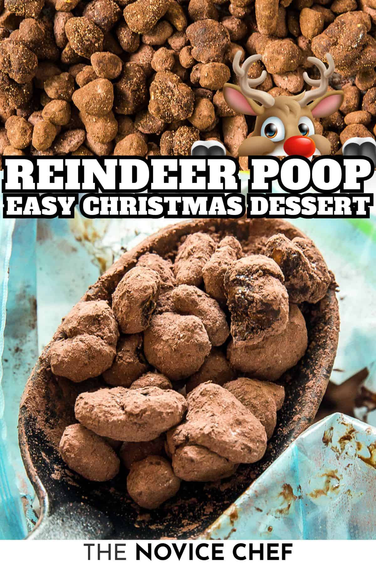 Easy No-Bake Reindeer Poop Recipe | The Novice Chef