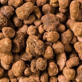 Easy No-Bake Reindeer Poop Recipe | The Novice Chef