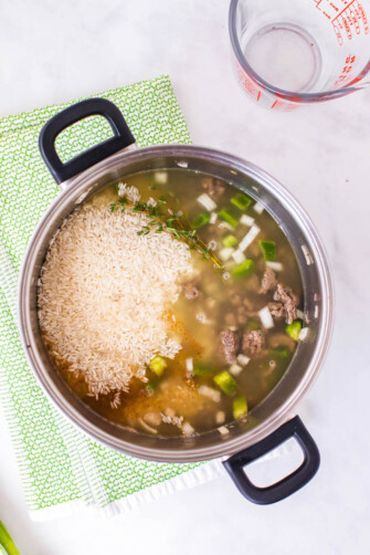 Best Dirty Rice Recipe - The Novice Chef