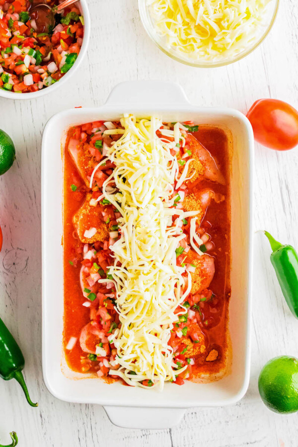 Easy Pico De Gallo Chicken Recipe | The Novice Chef