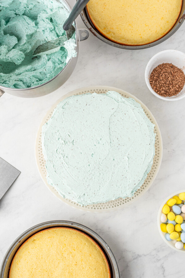 Easy Easter Cake with Robin's Egg Frosting | The Novice Chef