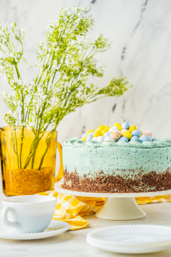Speckled Robin's Egg Easter Cake Recipe
