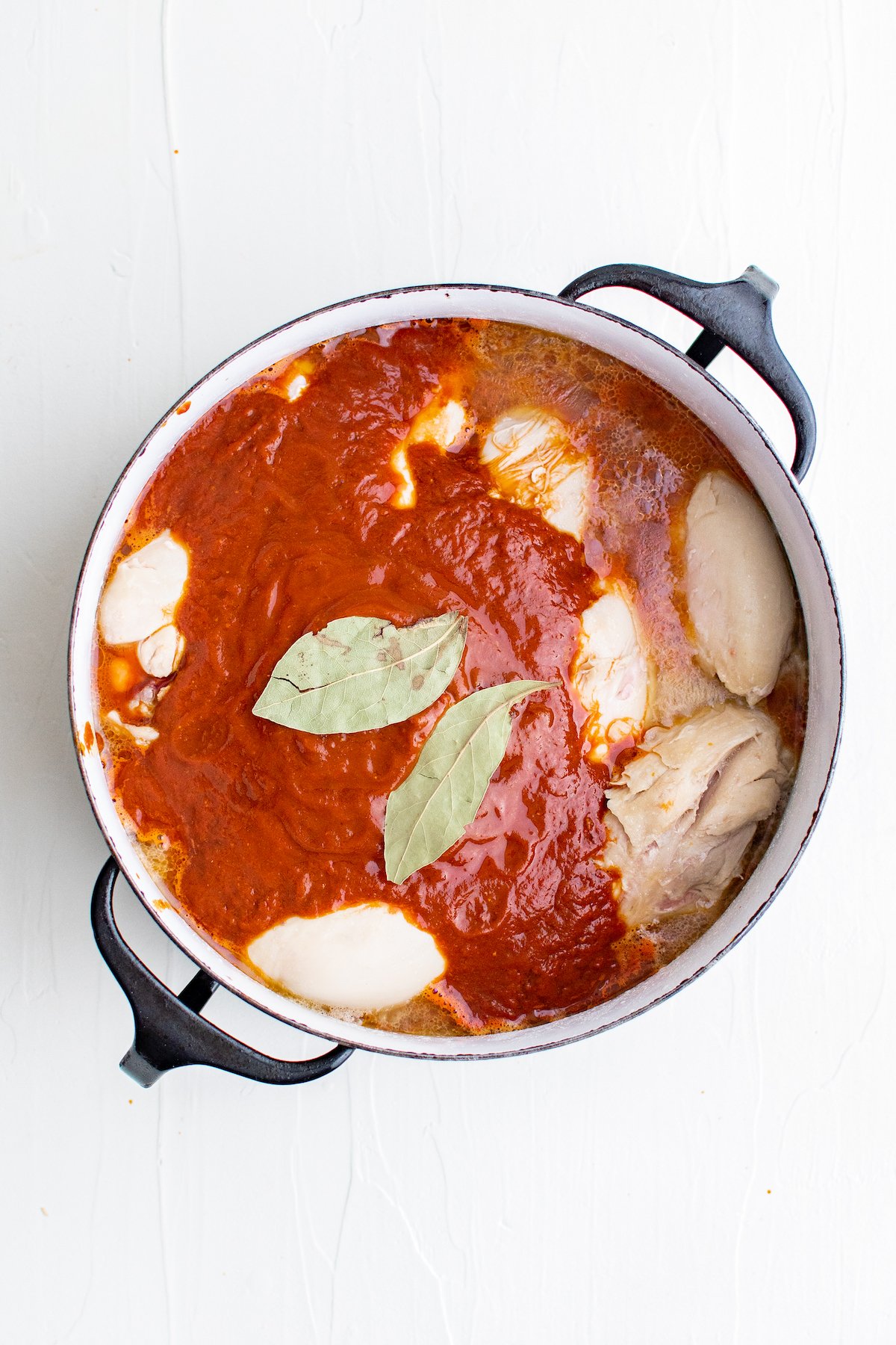 Mexican Chicken Adobo Recipe (Pollo En Adobo) | The Novice Chef