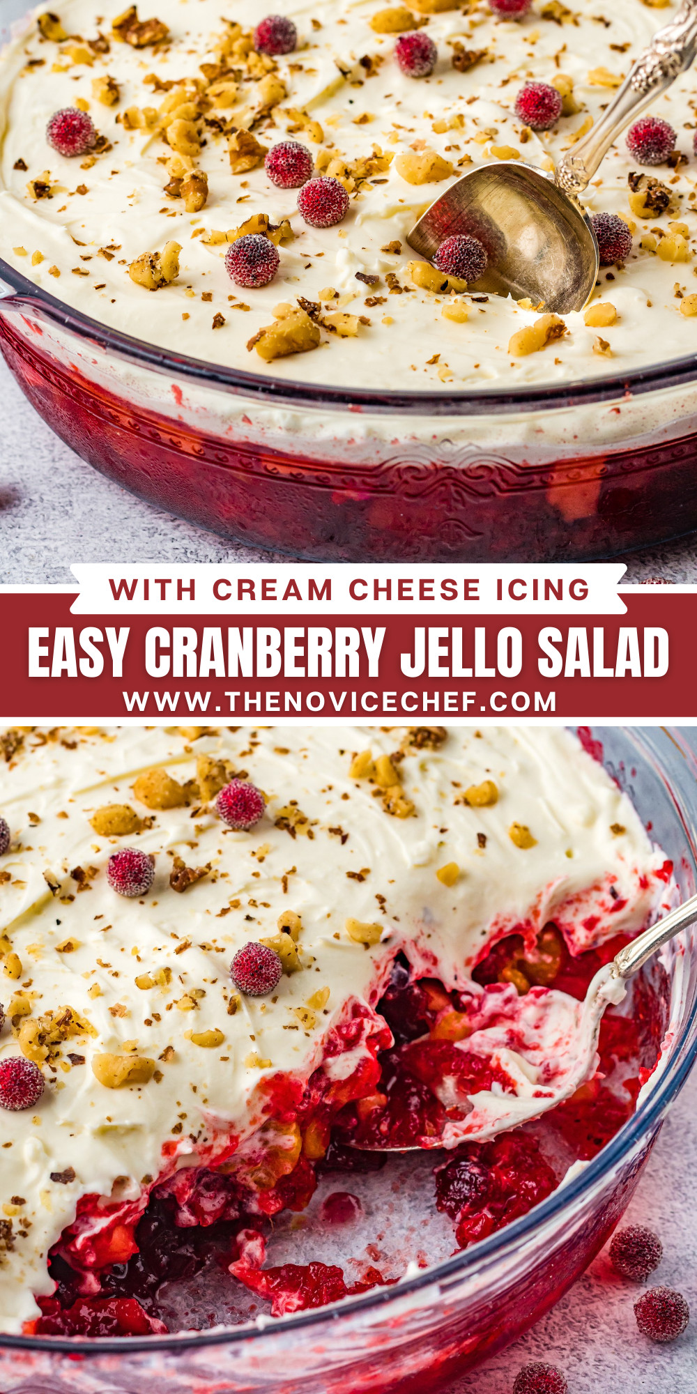Cranberry Jello Salad with Cream Cheese Topping | The Novice Chef