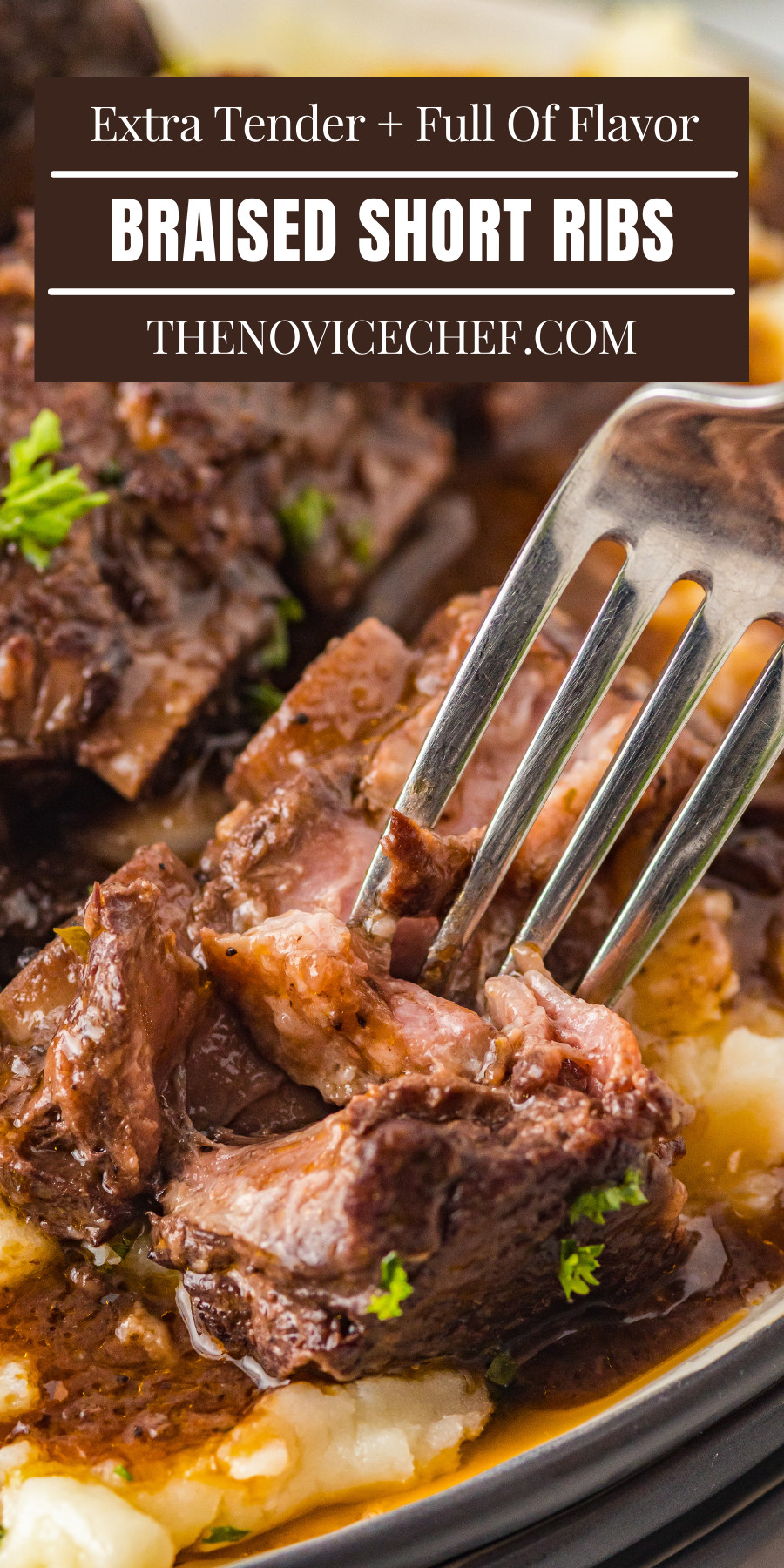 Red Wine Braised Short Ribs | The Novice Chef