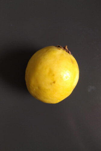 Guayaba Fruit – What Is It And How to Eat It | The Novice Chef