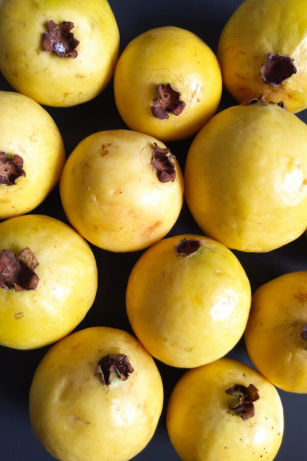 Guayaba Fruit – What Is It And How to Eat It | The Novice Chef