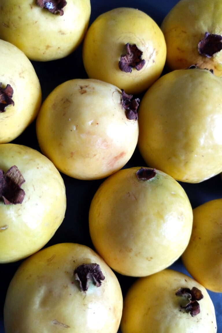Guayaba Fruit – What Is It And How to Eat It | The Novice Chef