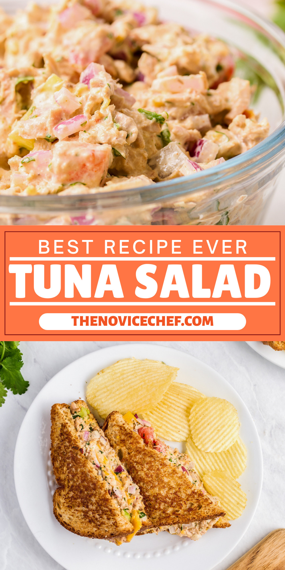 Loaded Tuna Salad Recipe | The Novice Chef