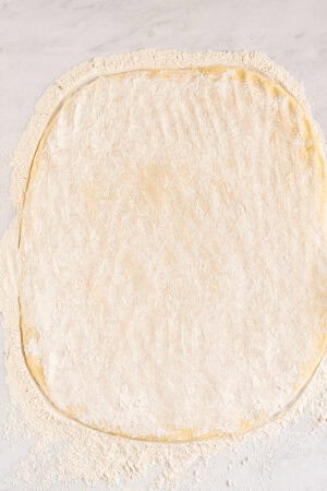 Texas Roadhouse Rolls | The Novice Chef