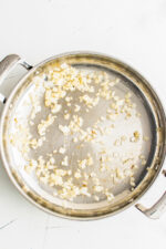 Achiote Chicken Recipe | The Novice Chef