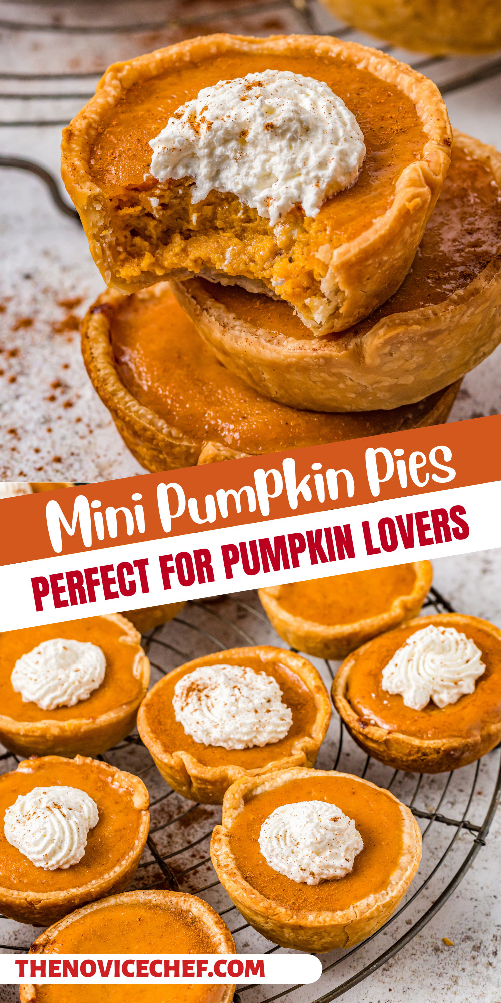 Mini Pumpkin Pies Recipe | The Novice Chef