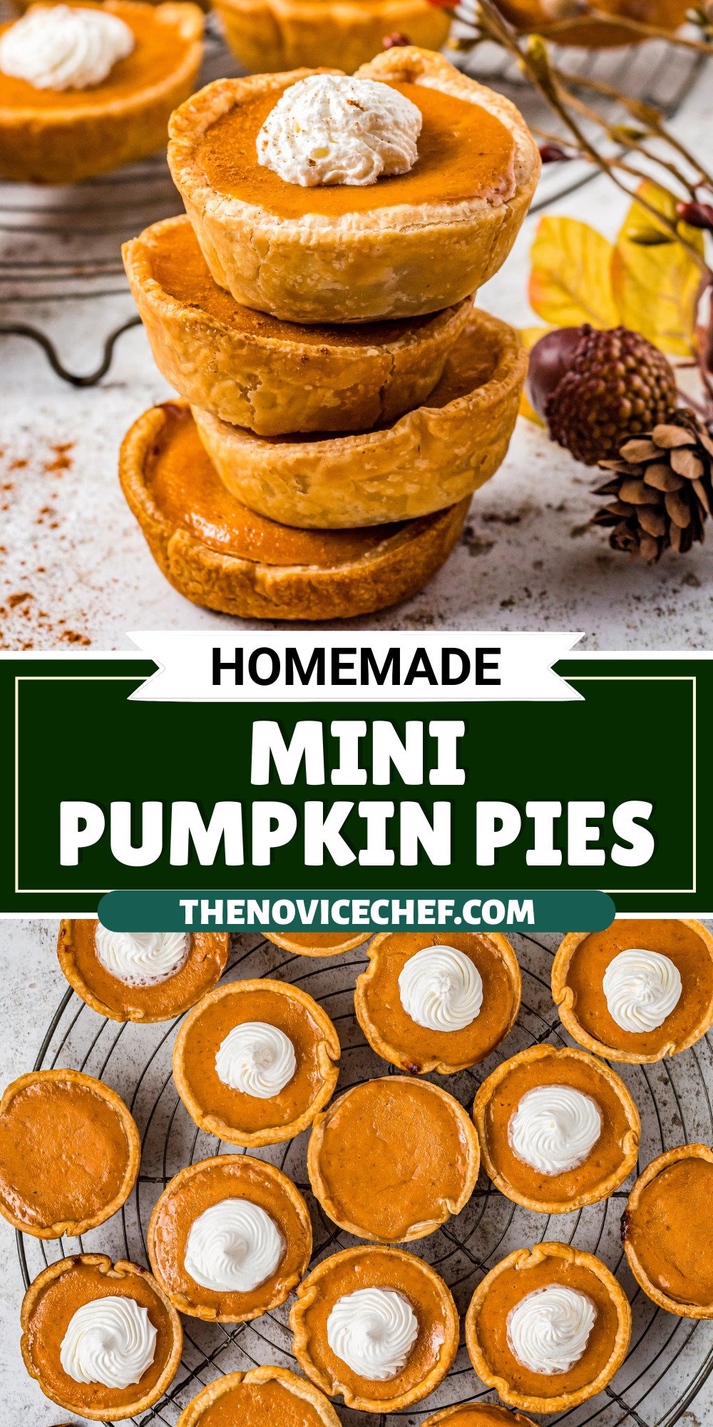 Mini Pumpkin Pies Recipe | The Novice Chef