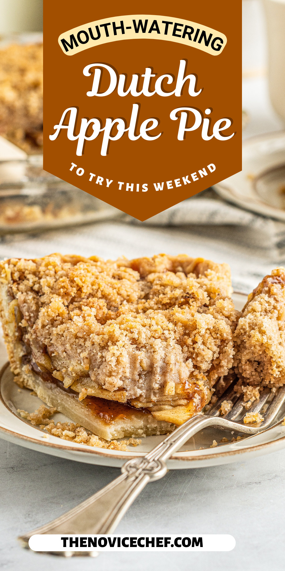 Best Dutch Apple Pie Recipe The Novice Chef