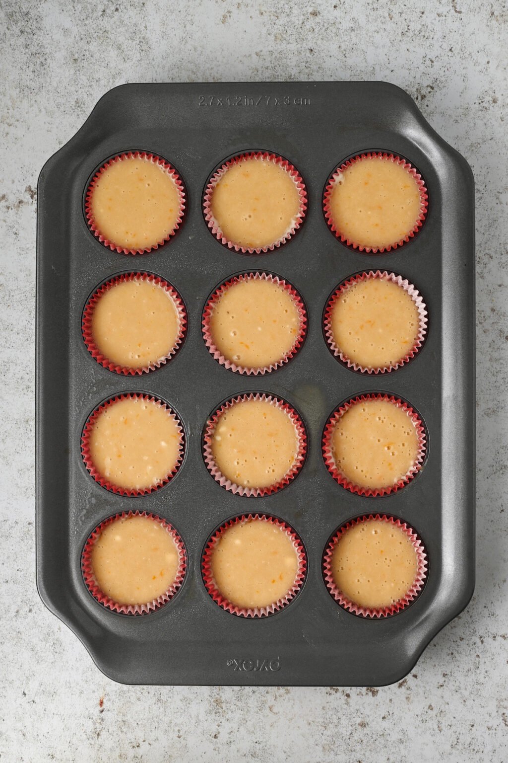 Mexican Mantecadas Recipe | The Novice Chef