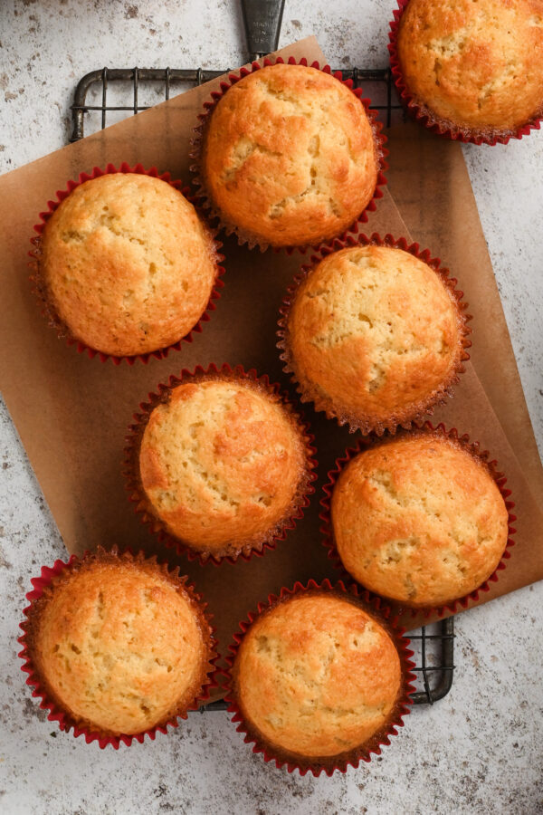 Mexican Mantecadas Recipe | The Novice Chef