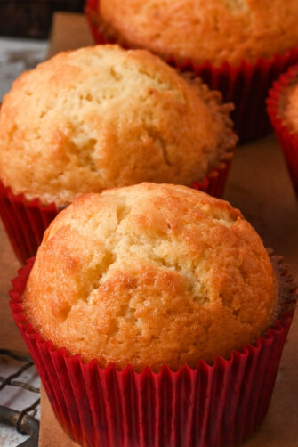 Mexican Mantecadas Recipe | The Novice Chef