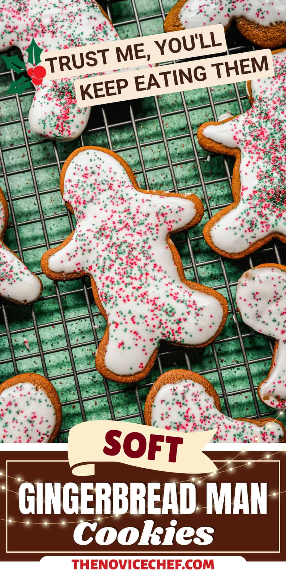 Soft Gingerbread Man Cookies | The Novice Chef
