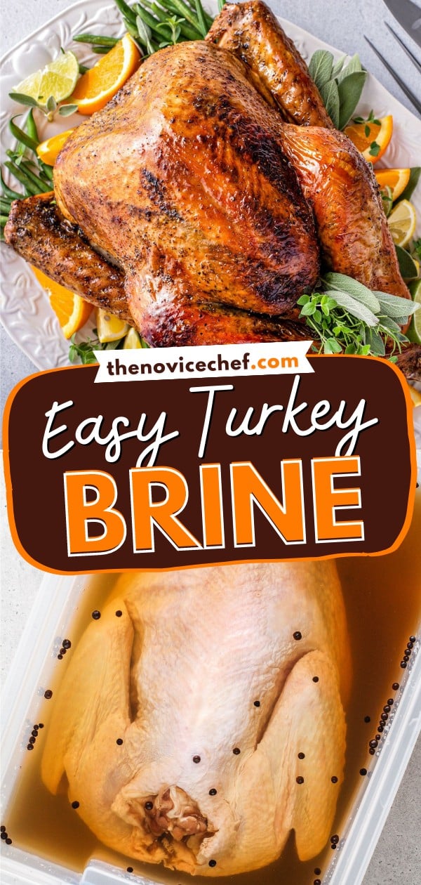 The Best Turkey Brine Recipe | The Novice Chef