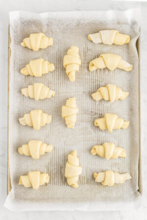 Homemade Crescent Rolls | The Novice Chef