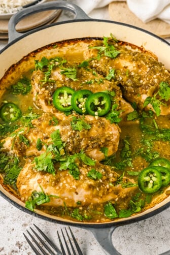Easy Salsa Verde Chicken Recipe | The Novice Chef