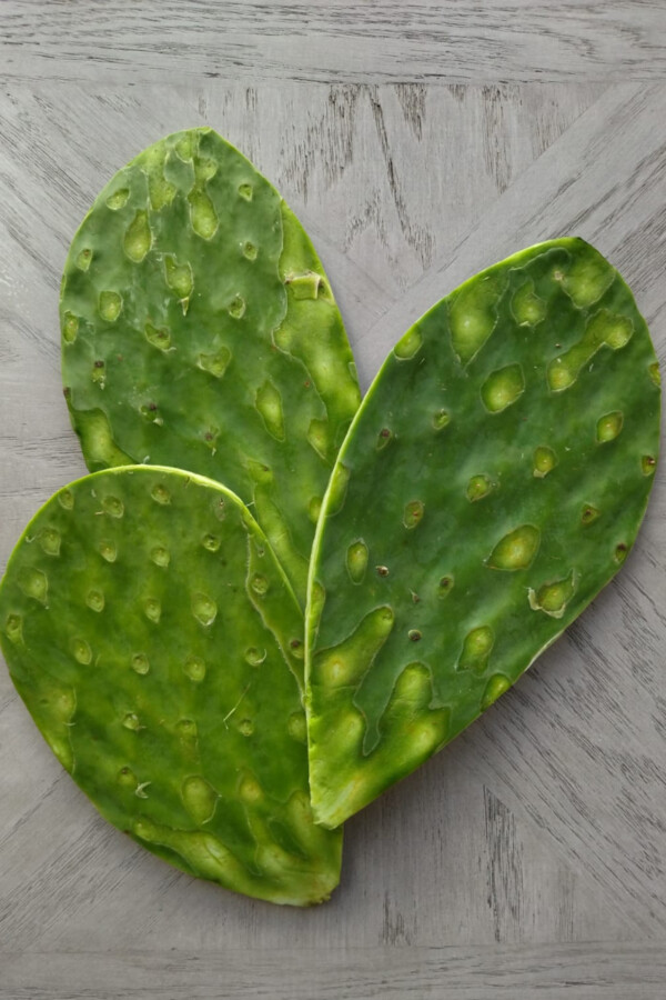 Nopales: Everything You Need to Know | The Novice Chef