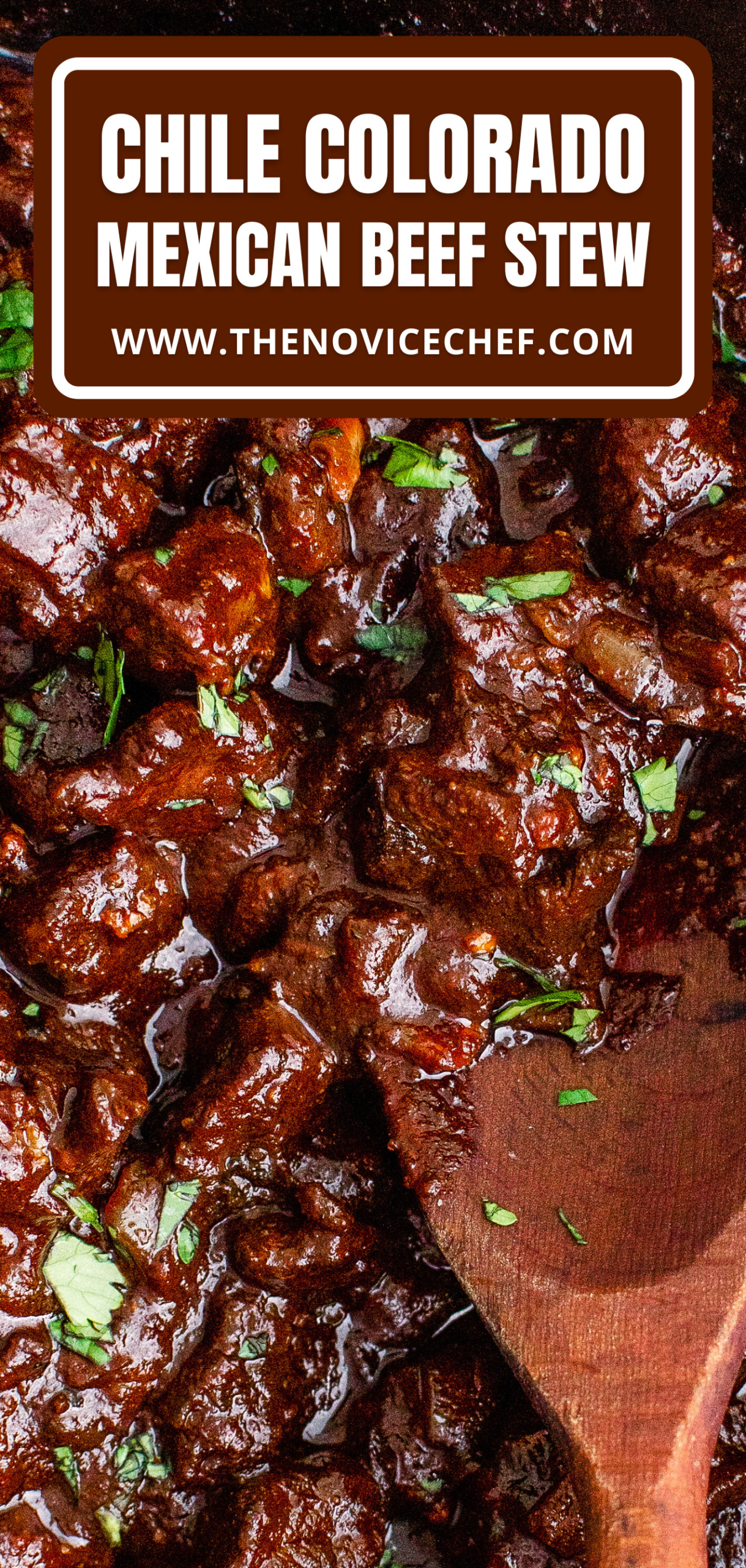 Chili Colorado (Carne Con Chili ) | The Novice Chef