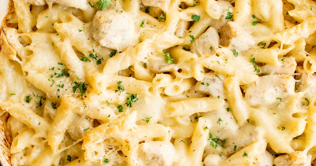 Easy Chicken Alfredo Bake Recipe L The Novice Chef