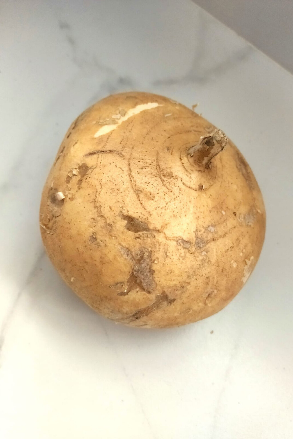 What is Jicama? | The Novice Chef