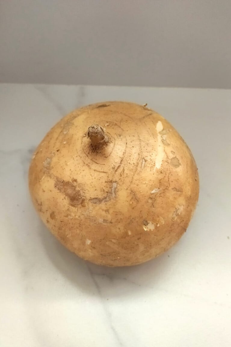 What is Jicama? | The Novice Chef