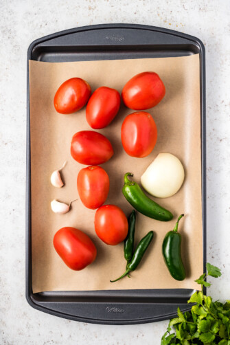 Restaurant-Style Salsa Recipe | The Novice Chef
