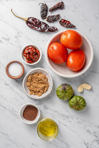 Salsa Morita Recipe | The Novice Chef