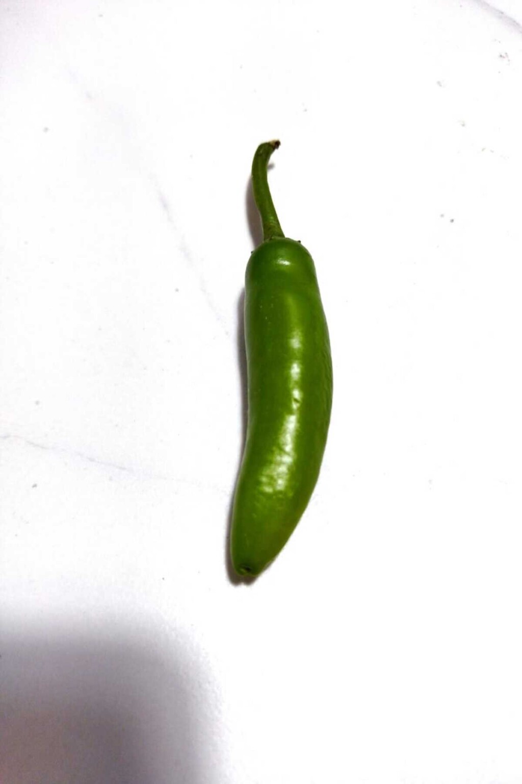 Serrano Peppers | The Novice Chef