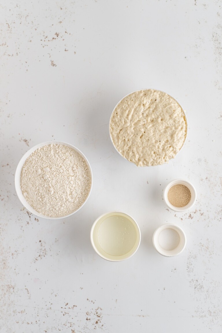 Best Chewy Ciabatta Bread Recipe | The Novice Chef