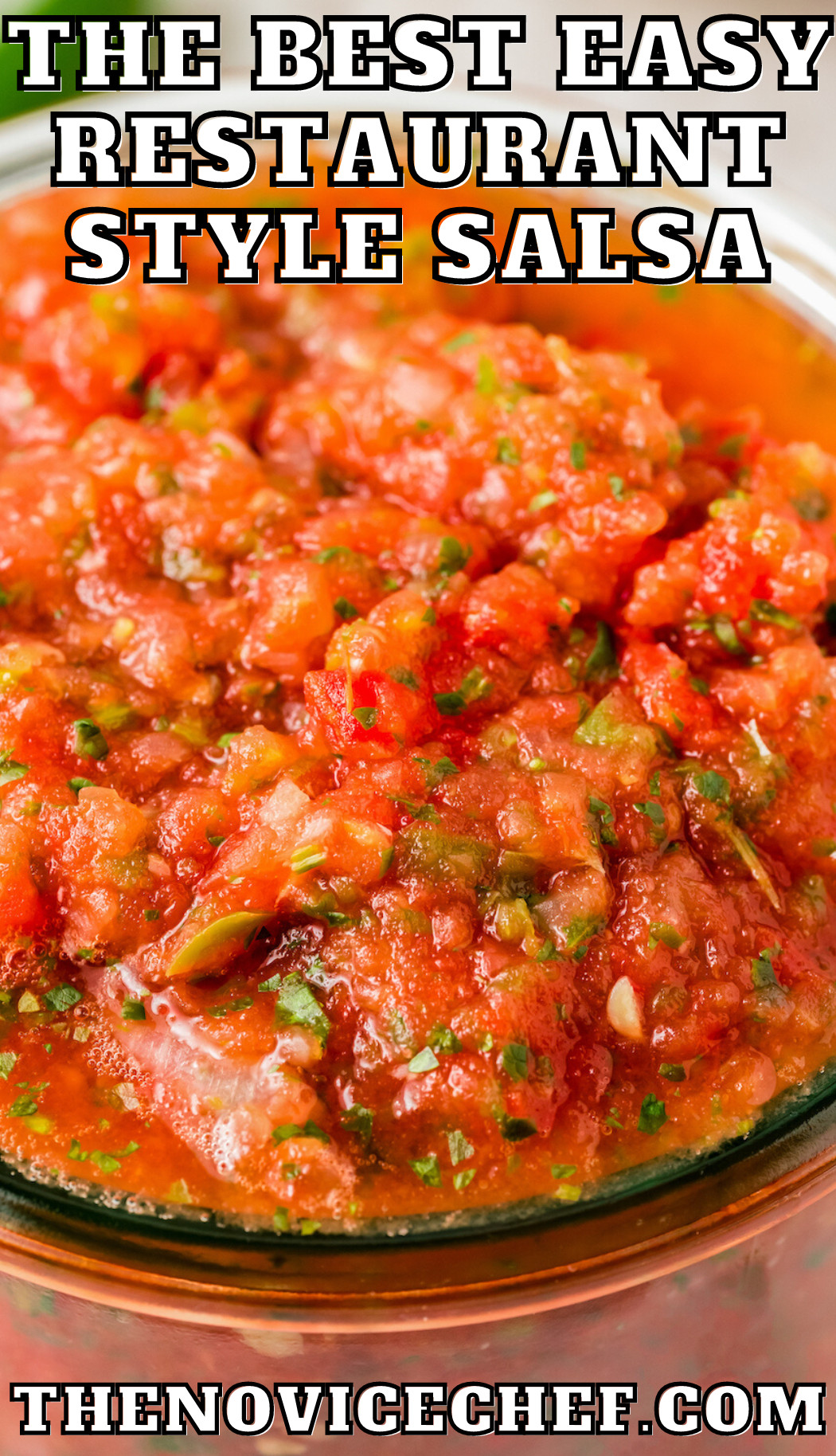 Restaurant-Style Salsa Recipe | The Novice Chef