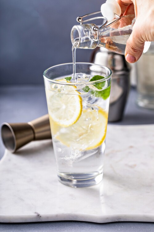 Simple Syrup Recipe | The Novice Chef