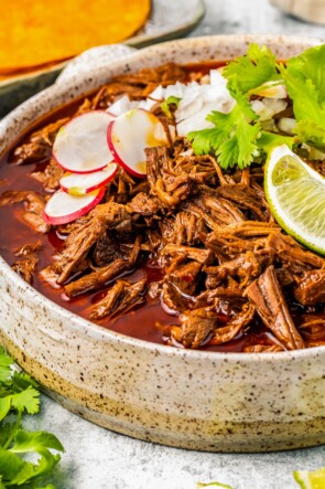 Crockpot Birria Recipe | The Novice Chef